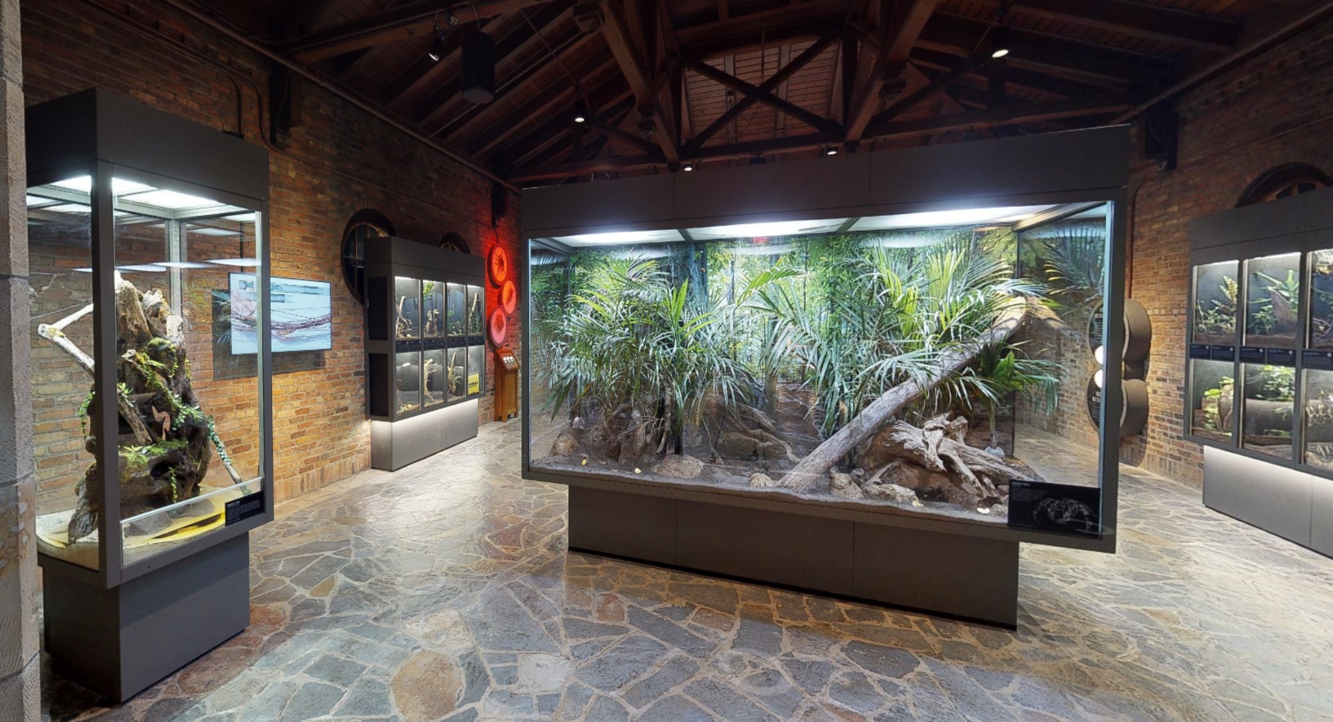 The Toledo ZOO, Toledo - Archa